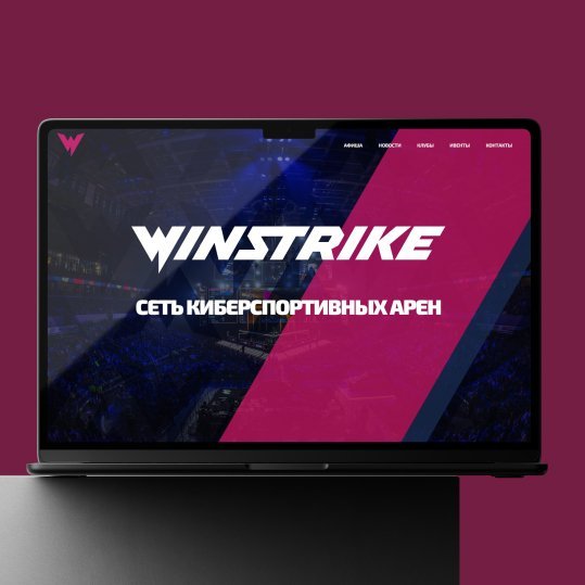 Сервис для букирования игрового времени Winstrike Team – кейс
