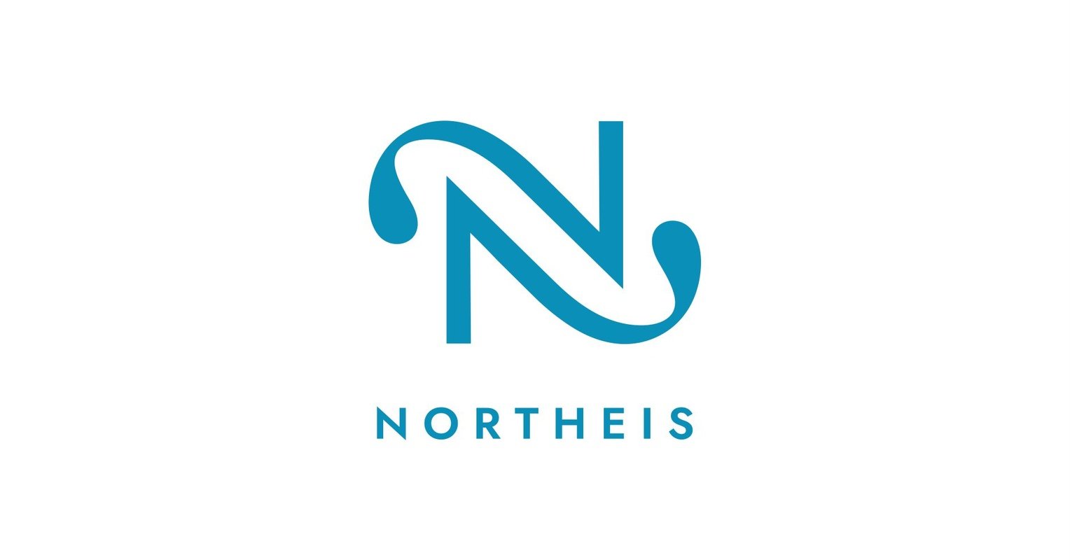 Разработка нейминга, логотипа, фирменного стиля NORTHEIS – кейс Kolibri